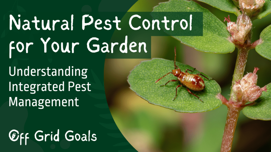 Natural Pest Control for Your Garden: Understanding Integrated Pest ...