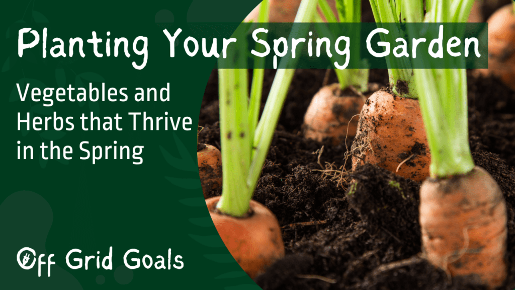 Planting Your Spring Garden: Vegetables and Herbs that Thrive in the ...